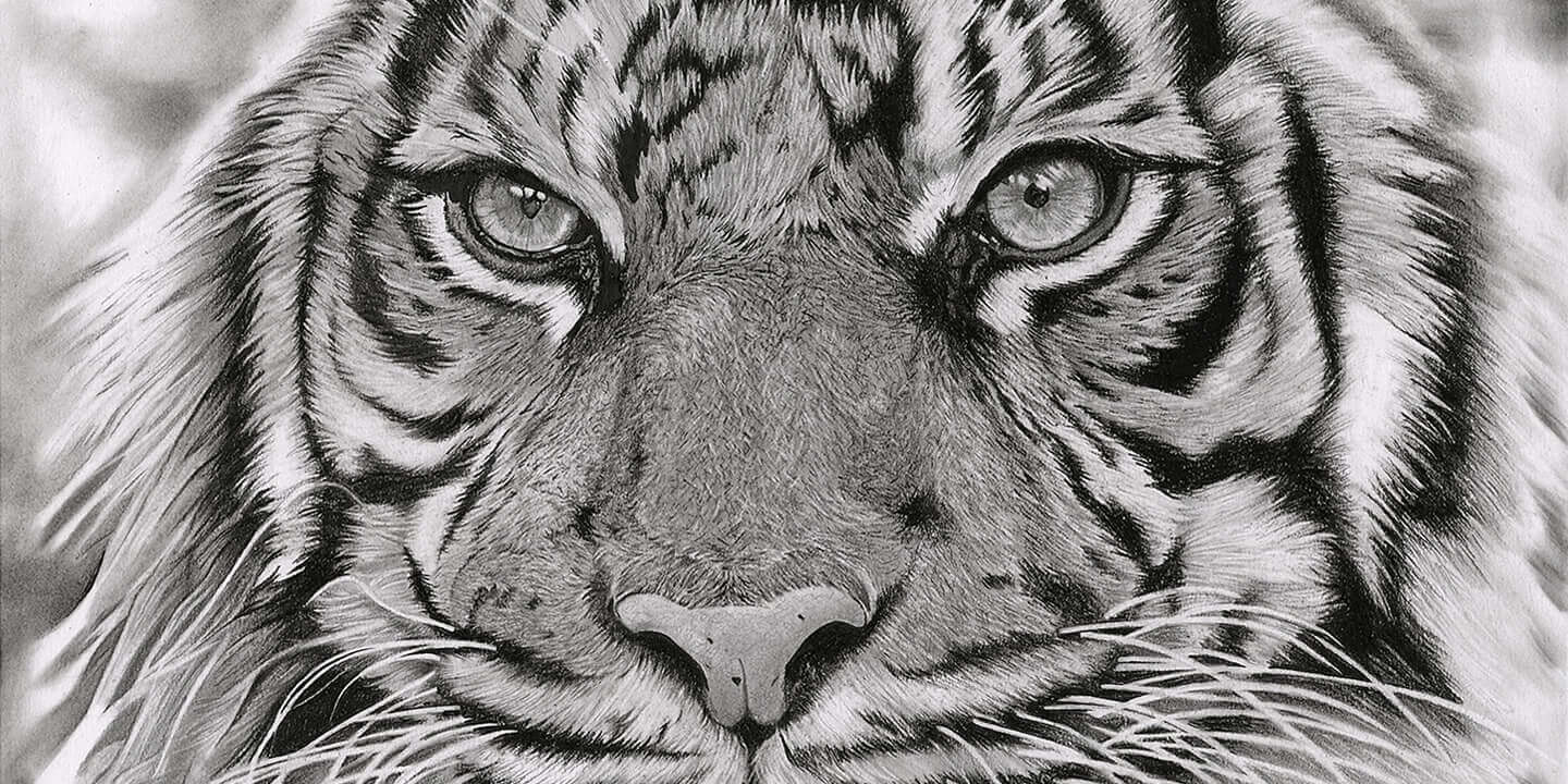 Pet Portraits and Wildlife Art - Jess Ridley Art