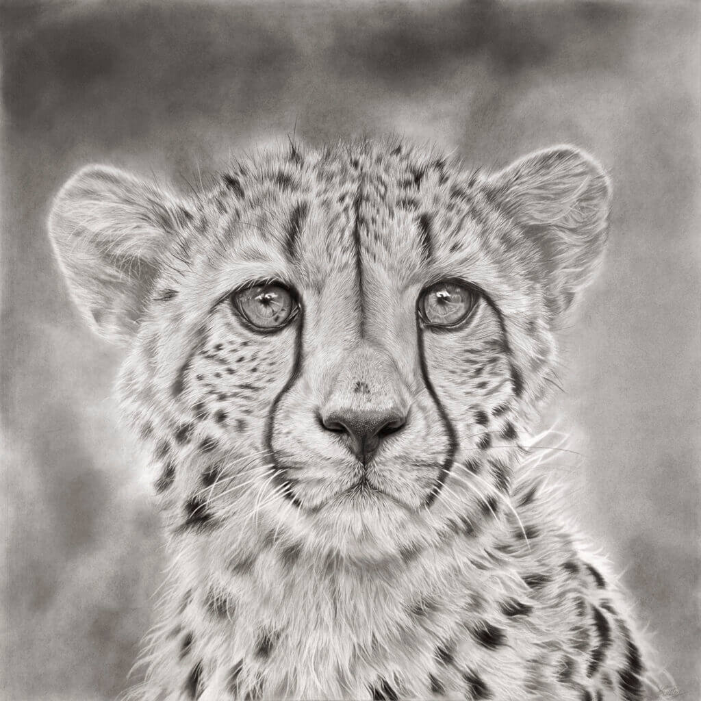 Wildlife Art Gallery - Jess Ridley Art